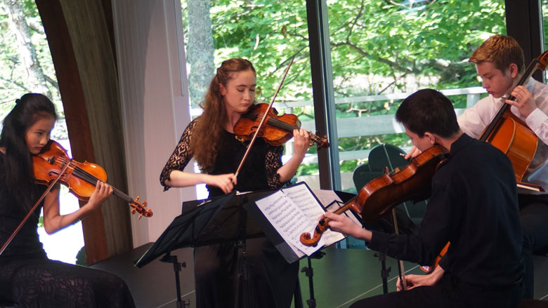 Chamber Music for Strings | Madeline Island Chamber Music